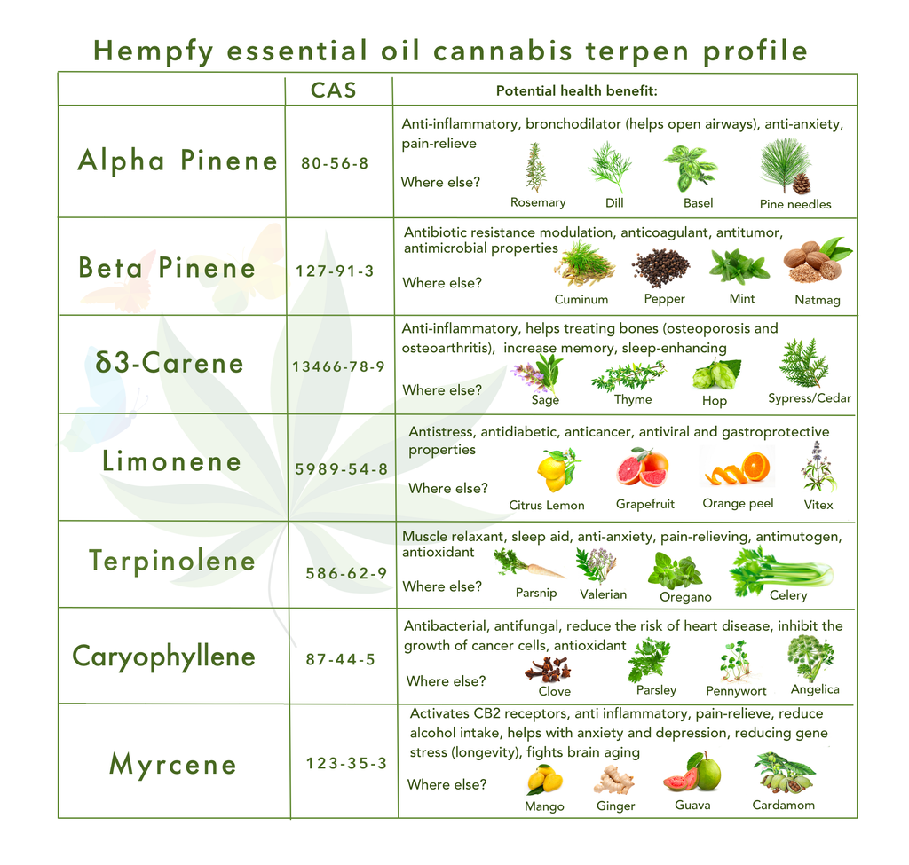 Potential helth benefits of cannabis terpenes